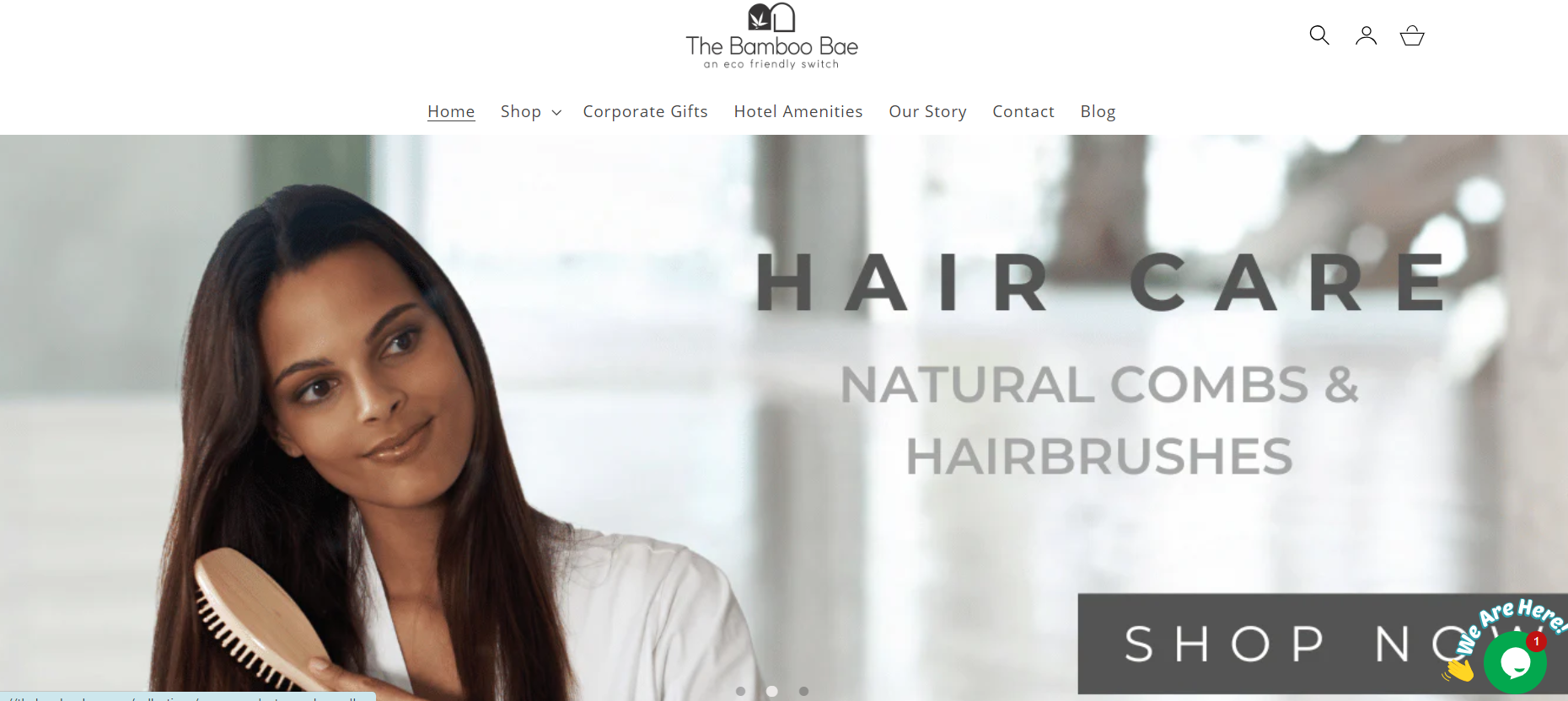 The Bamboo Bae: Pioneering Sustainable Living with Handcrafted Bamboo ...